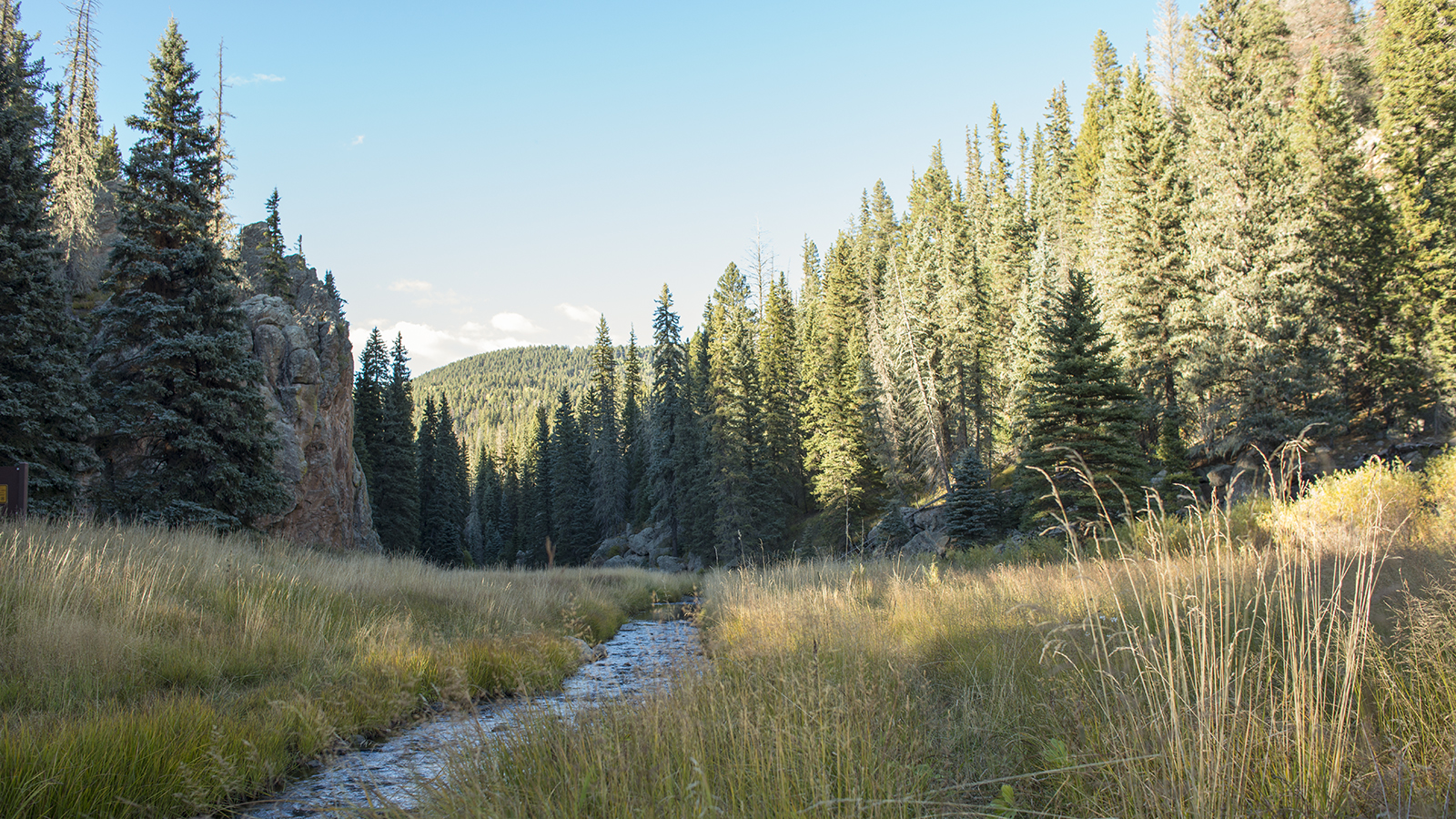 Sam Katz – The Lobo Life