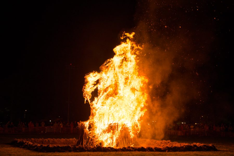 Red Rally – The Lobo Life