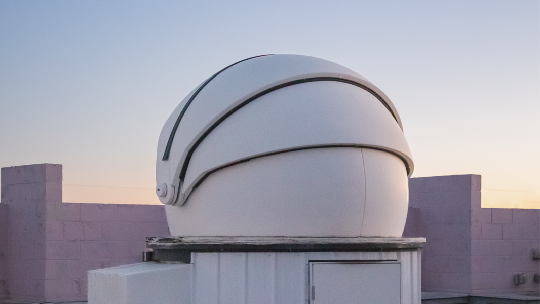 Stills – The Lobo Life