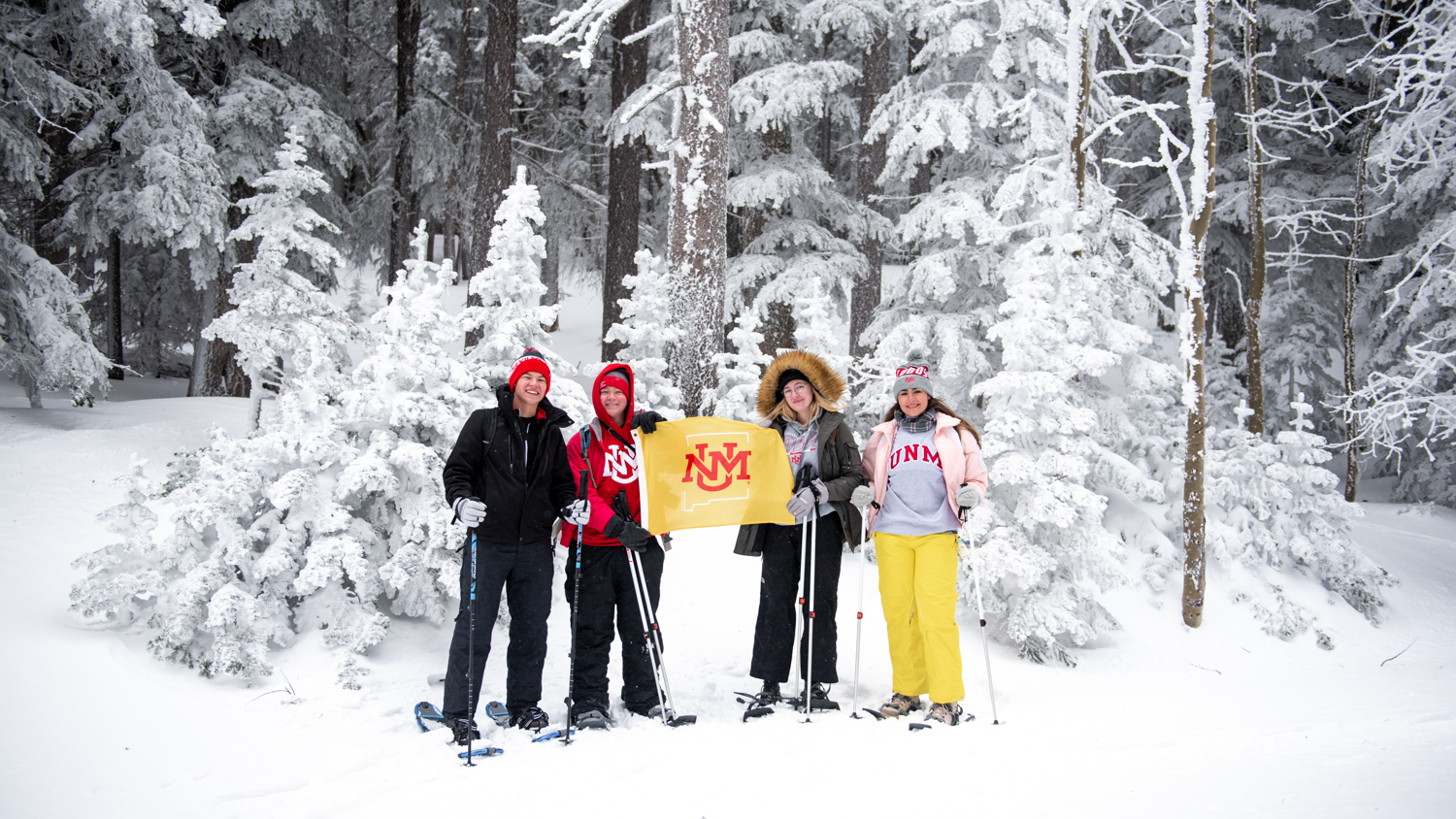Capulin Snow Play Area at the Sandia Crest – The Lobo Life