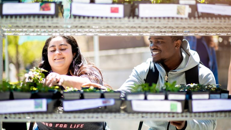 Red Rally – The Lobo Life